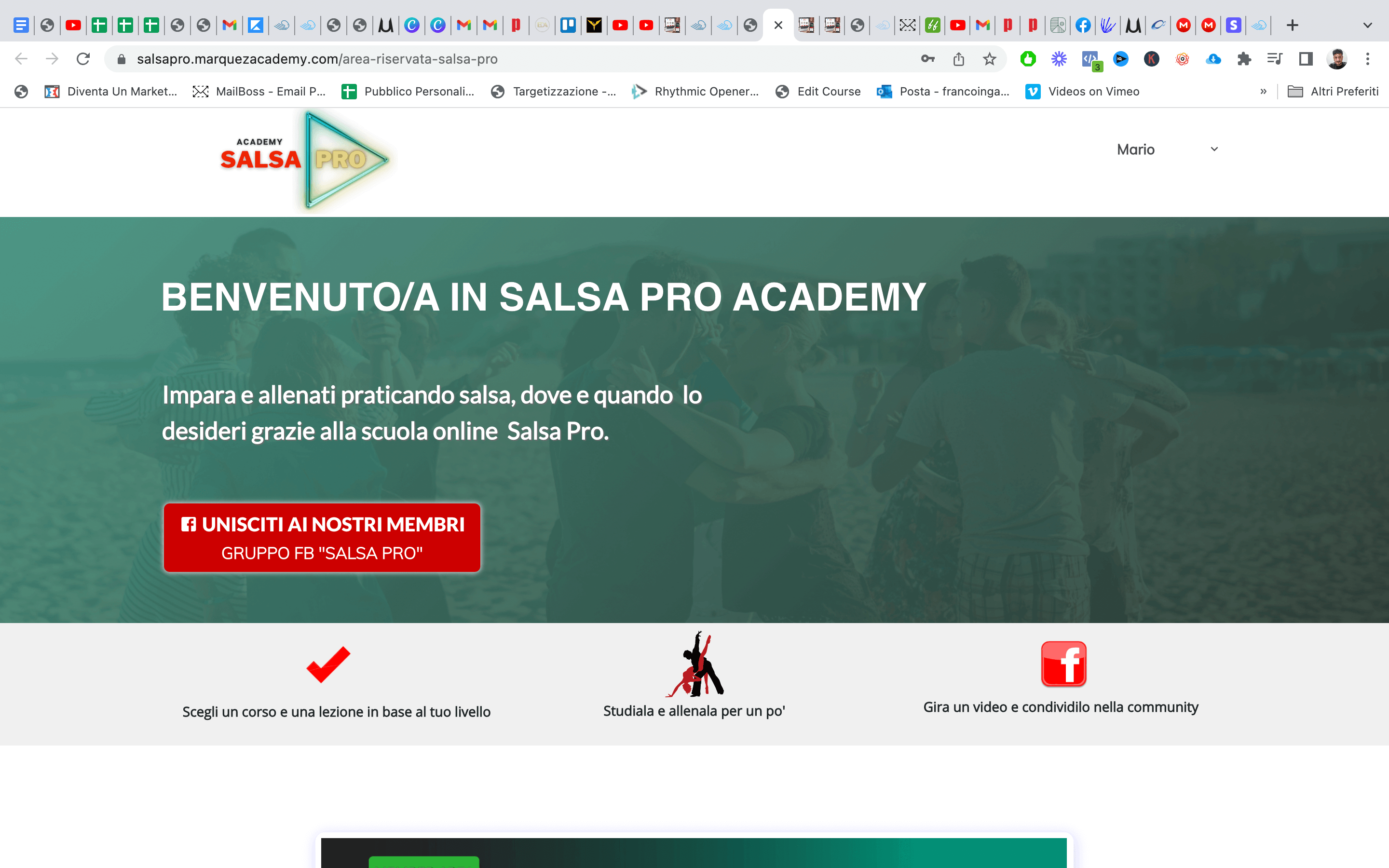 SALSA PRO | Area Riservata Salsa Pro